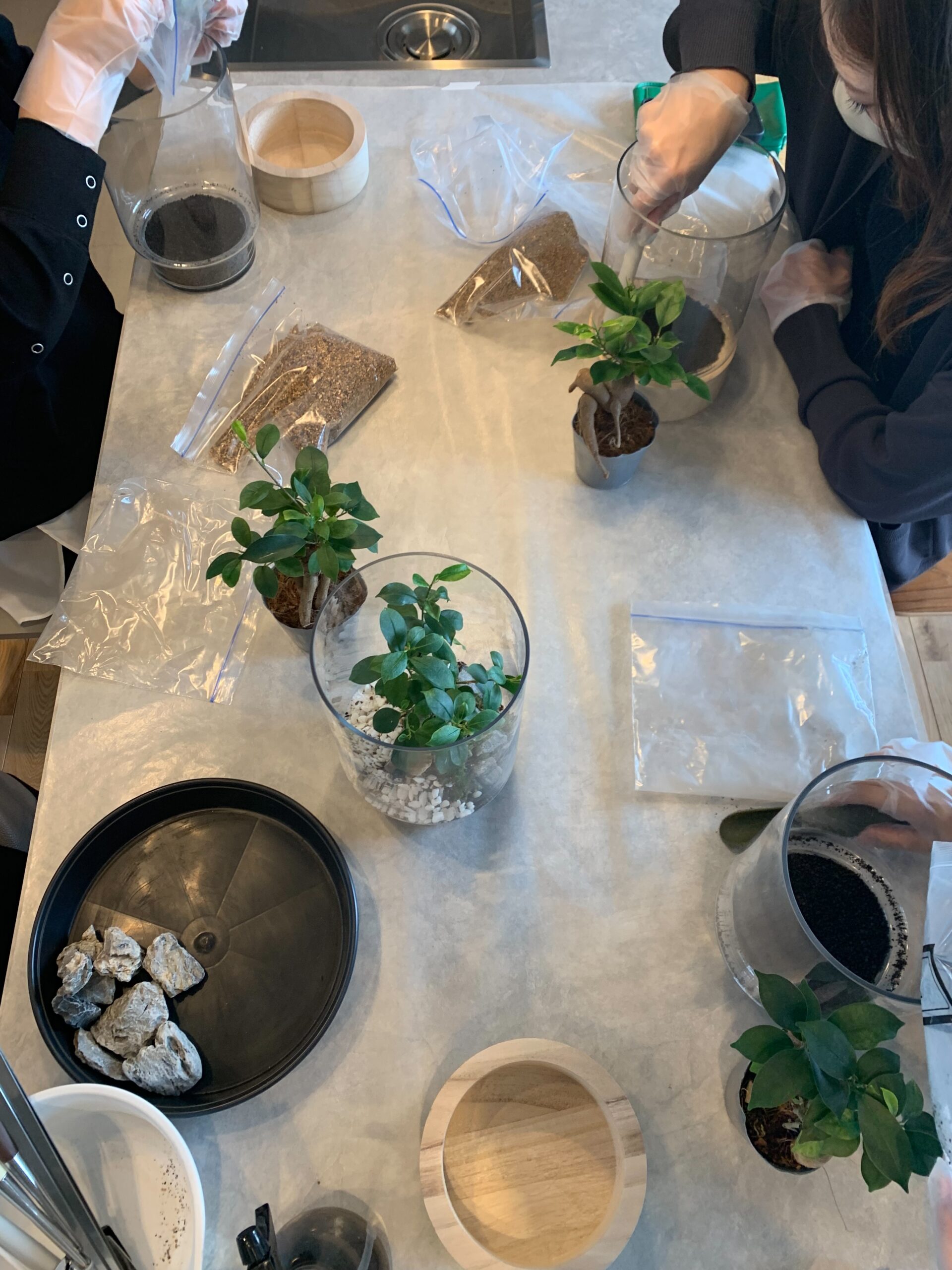 04月workshop - RISE interior studio ライズインテリアスタジオ 香川県高松市